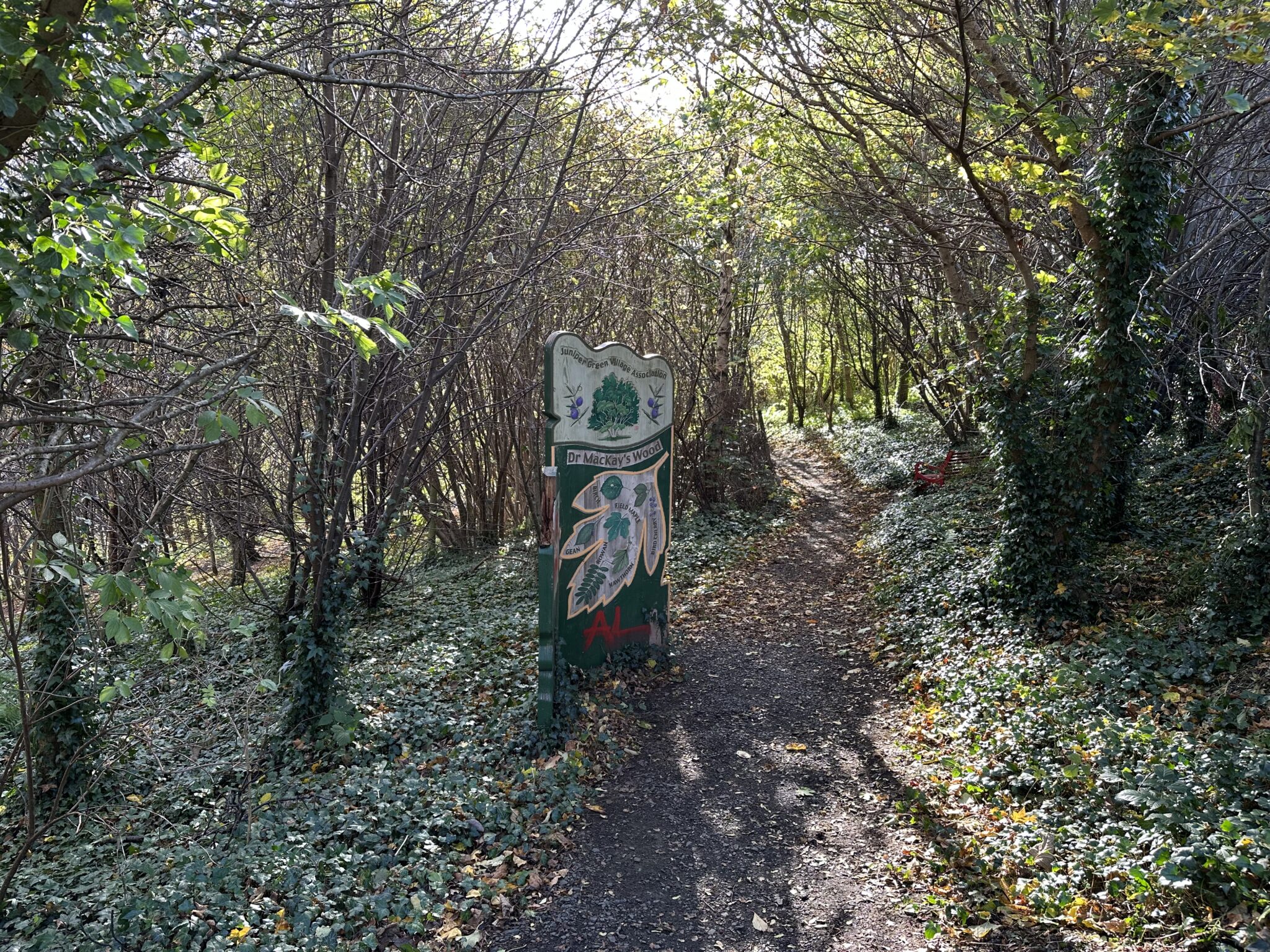 Reviving Dr MacKay’s Wood: A Call to the Juniper Green Community - The ...